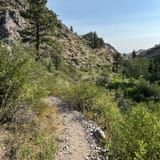 Hunter Creek Trail, Nevada - 4,835 Reviews, Map | AllTrails
