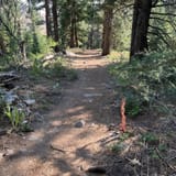 Hunter Creek Trail, Nevada - 4,835 Reviews, Map | AllTrails