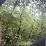 Hidden Arch Trail, Kentucky - 1,248 Reviews, Map | AllTrails