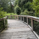 Bluebonnet Swamp Trail , Louisiana - 100 Reviews, Map | AllTrails