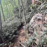 Hidden Arch Trail, Kentucky - 1,248 Reviews, Map | AllTrails