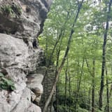 Hidden Arch Trail, Kentucky - 1,248 Reviews, Map | AllTrails