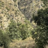 Eaton Canyon Trail, California - 13,349 Reviews, Map | AllTrails