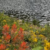 Officers Gulch, Colorado - 782 Reviews, Map | AllTrails