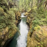 Silver Falls Loop, Washington - 3,513 Reviews, Map | AllTrails