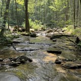 Old Loggers Path, Pennsylvania - 683 Reviews, Map | AllTrails