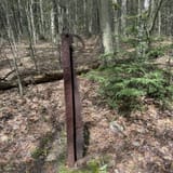 Old Loggers Path, Pennsylvania - 683 Reviews, Map | AllTrails