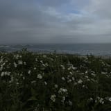 Sachuest Point National Wildlife Refuge Trail, Rhode Island - 2,054 ...