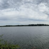 Foster Island Trail, Washington - 719 Reviews, Map | AllTrails