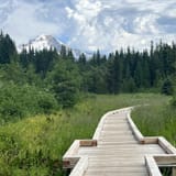 Trillium Lake Loop, Oregon - 2,494 Reviews, Map | AllTrails