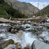 Baxter Pass Trail, California - 30 Reviews, Map | AllTrails