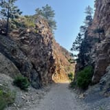 Fowler Trail, Colorado - 2,504 Reviews, Map | AllTrails