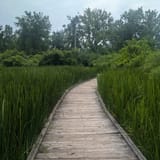 Tifft Nature Preserve Trail, New York - 699 Reviews, Map | AllTrails