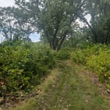 Tifft Nature Preserve Trail, New York - 699 Reviews, Map | AllTrails