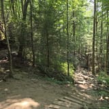 Foster Falls Climbers Loop Trail, Tennessee - 2,073 Reviews, Map ...