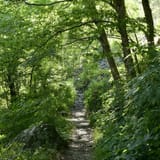Hawksbill Loop Trail, Virginia - 4,715 Reviews, Map | AllTrails