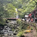Minoh Waterfalls Trail, Osaka, Japan - 179 Reviews, Map | AllTrails