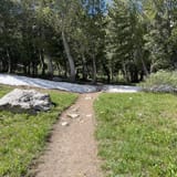 Lamoille Lake Trail, Nevada - 345 Reviews, Map | AllTrails