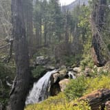 Cedar Falls Trail, Washington - 416 Reviews, Map | AllTrails