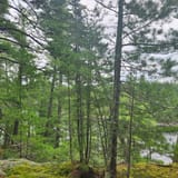 Angleworm Lake Trail, Minnesota - 108 Reviews, Map | AllTrails