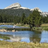 Soda Springs and Parsons Lodge Trail, California - 686 Reviews, Map ...