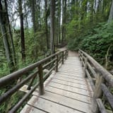Capilano Canyon and Upper Capilano Pacific Trail Loop, British Columbia ...