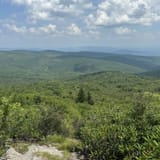 Mount Rogers Loop Trail, Virginia - 391 Reviews, Map | AllTrails