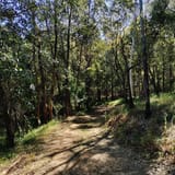 Lake Samsonvale McGavin View, Queensland, Australia - 40 Reviews, Map ...