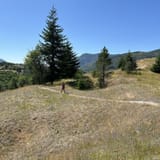 Hummocks Trail, Washington - 1,165 Reviews, Map | AllTrails