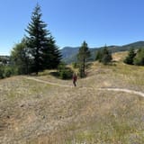 Hummocks Trail, Washington - 1,165 Reviews, Map | AllTrails