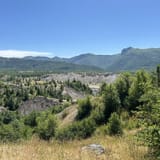 Hummocks Trail, Washington - 1,165 Reviews, Map | AllTrails