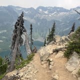 Maple Pass Trail, Washington - 8,201 Reviews, Map | AllTrails