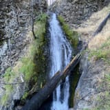 Fall Creek Falls Trail, Oregon - 375 Reviews, Map | AllTrails