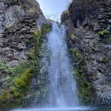 Fall Creek Falls Trail, Oregon - 375 Reviews, Map | AllTrails