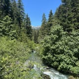 Love Lake, British Columbia, Canada - 94 Reviews, Map | AllTrails