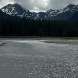 Tonsina Creek Trail, Alaska - 1,693 Reviews, Map | AllTrails