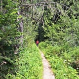 Upper Priest Lake Navigation Trail, Idaho - 235 Reviews, Map | AllTrails