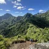 Cross Island Track and The Needle, Rarotonga, Cook Islands - 222 ...