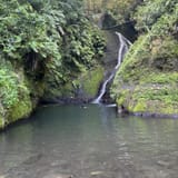 Cross Island Track and The Needle, Rarotonga, Cook Islands - 222 ...