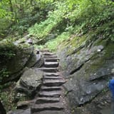 Deep Creek Loop Trail, North Carolina - 2,158 Reviews, Map | AllTrails