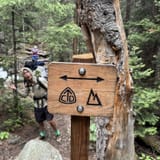 Hope Pass via Willis Gulch Trail, Colorado - 462 Reviews, Map | AllTrails