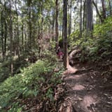 Waimano Falls Trail, Oahu, Hawaii - 5,272 Reviews, Map | AllTrails