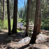 Carlon Falls Trail, California - 1,327 Reviews, Map | AllTrails