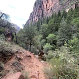 Kayenta Trail to the Emerald Pools, Utah - 3,901 Reviews, Map | AllTrails