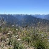 Sunrise View Point via High Ridge Nature Trail, Washington - 1,036 ...