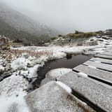 Tarn Shelf, Tasmania, Australia - 378 Reviews, Map | AllTrails