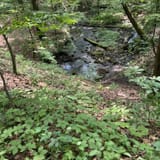 Geyser Loop Trail, New York - 2,342 Reviews, Map | AllTrails