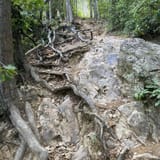 Compression Falls Trail, North Carolina - 384 Reviews, Map | AllTrails