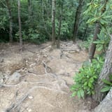 Compression Falls Trail, North Carolina - 384 Reviews, Map | AllTrails