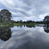 Bulimba Creek Loop, Queensland, Australia - 156 Reviews, Map | AllTrails